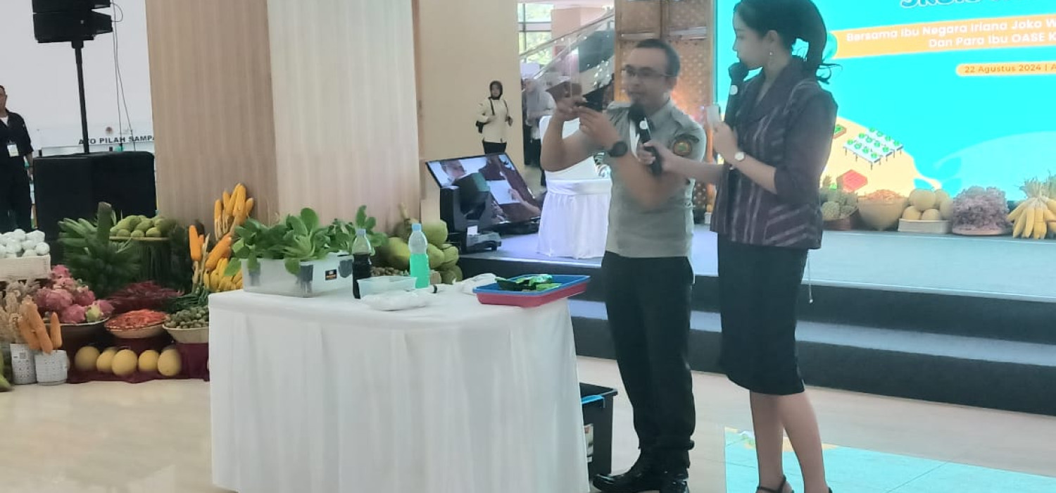 Berita BRMP Jakarta - BSIP Jakarta Diseminasikan Budi Daya Sayuran ...